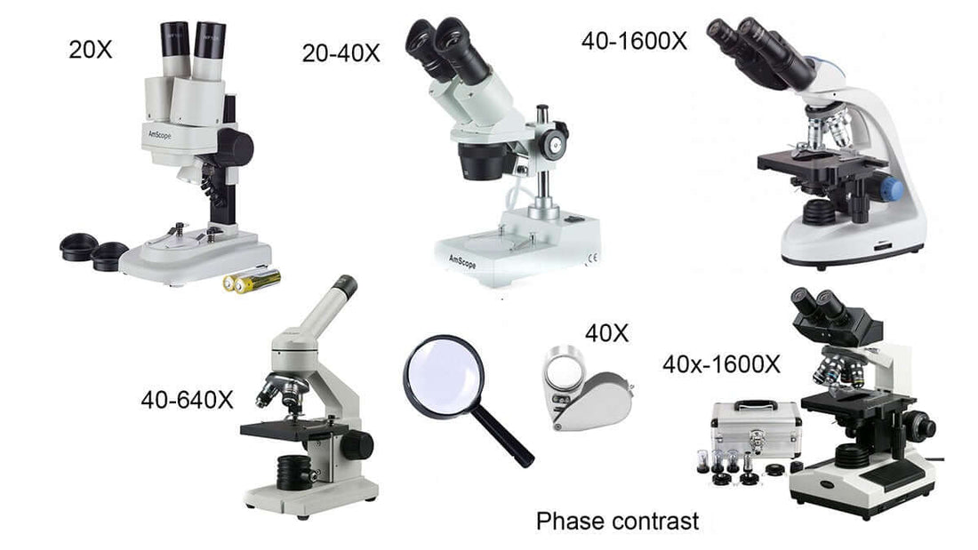 Types of Microscopes: Exploring Uses in Scientific Research ...