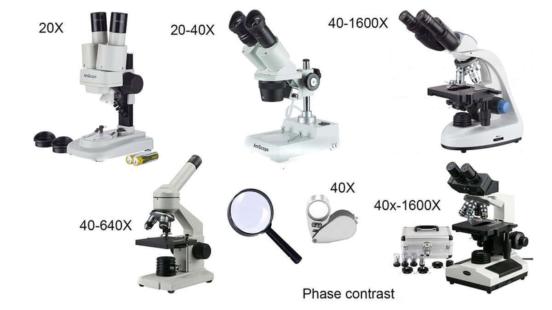 Types of Microscopes: Exploring Uses in Scientific Research – laboratorydeal