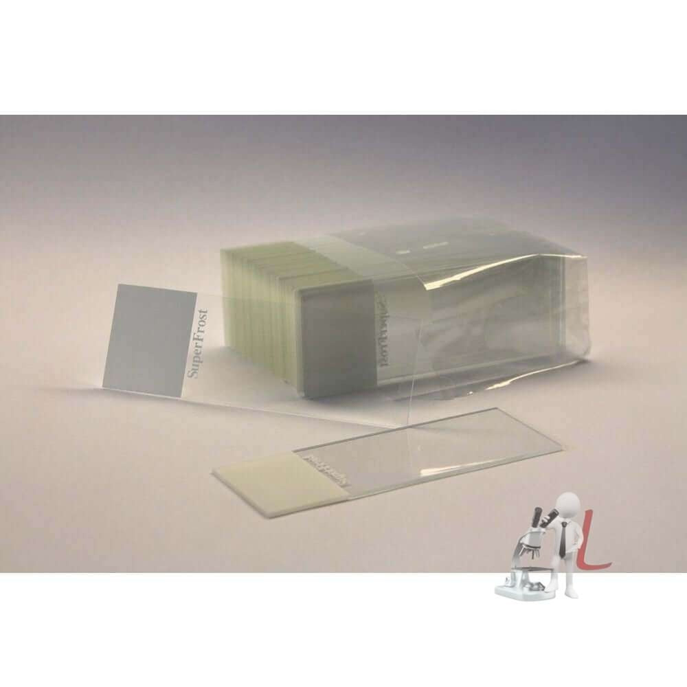 BOTANY PERMANENT MICRO-PREPARED SLIDES permanent slide – laboratorydeal